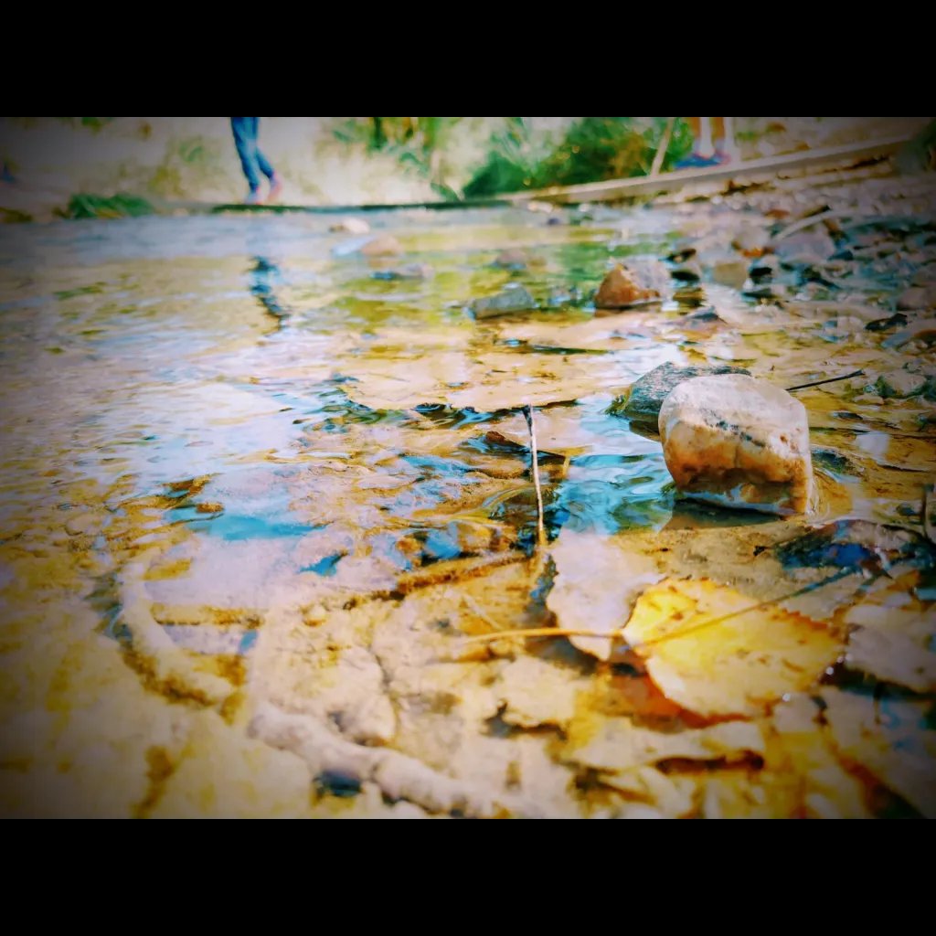 Creative Works Collection | NFT.io